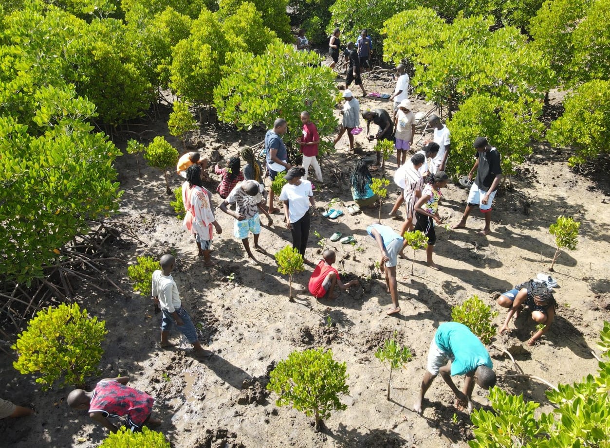 BlueBiz Program - Empowering Coastal Youth Entrepreneurs